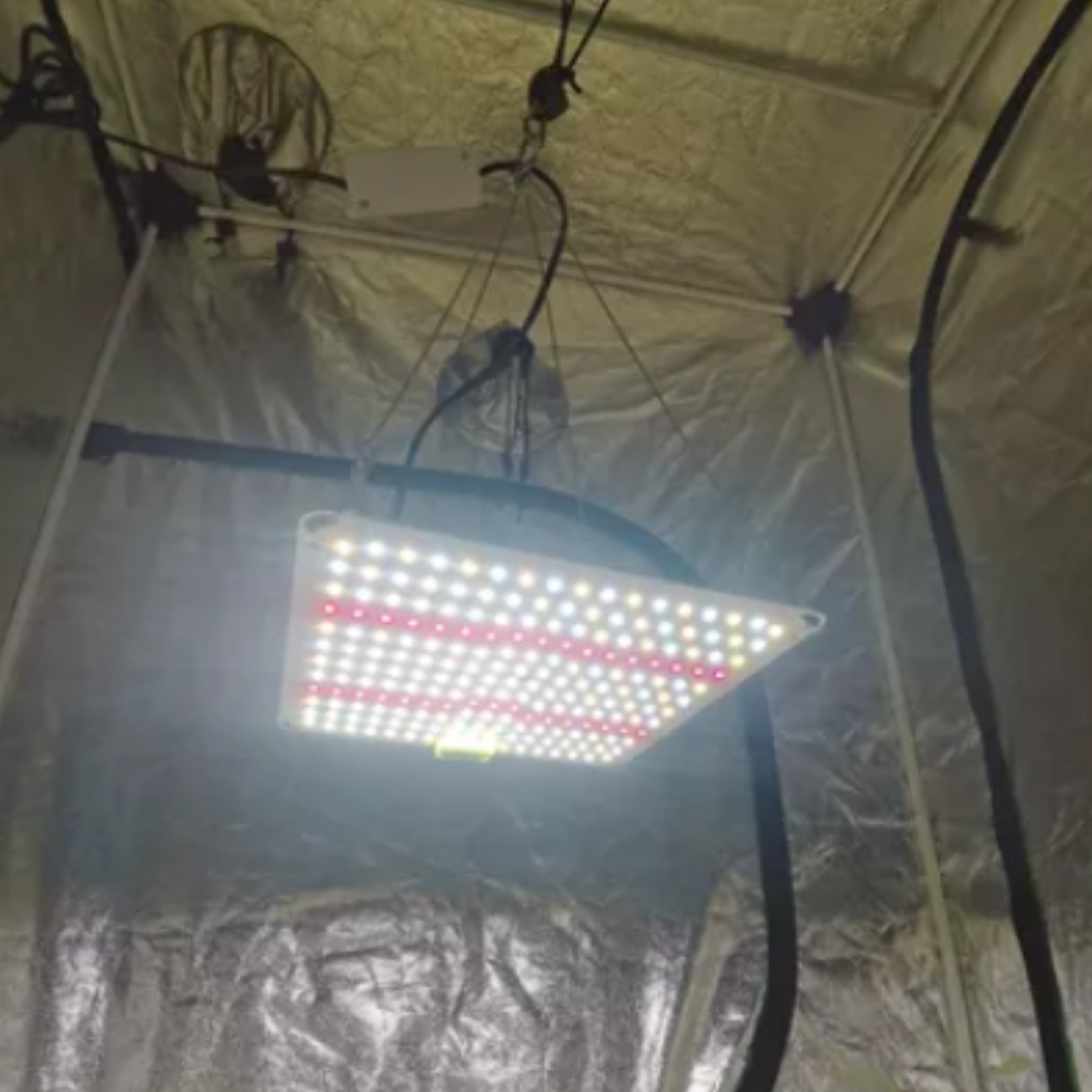 Painel de Led Quantum Board - 35w | Green Growth